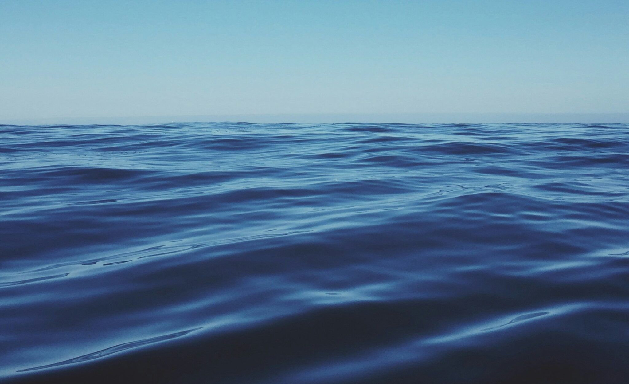 Survive Being Lost At Sea - The Survival Way