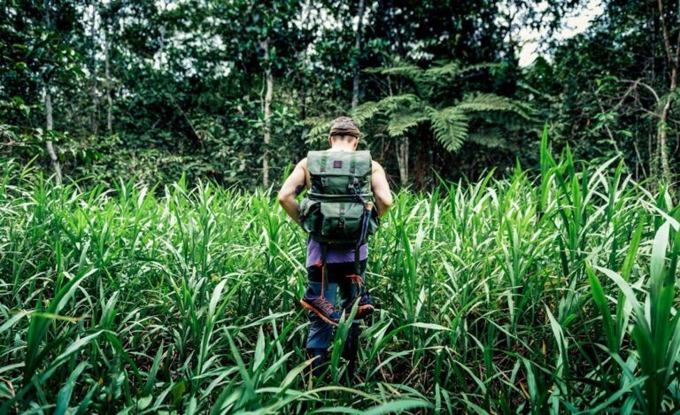 How To Survive In A Jungle - The Survival Way
