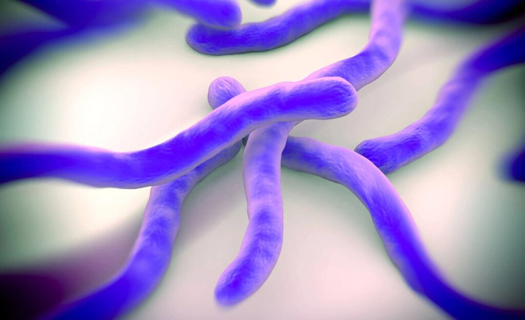 How To Survive Lyme Disease - The Survival Way