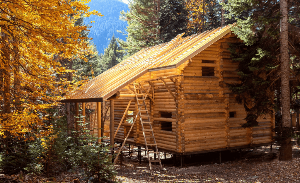 Build Your Own Log Cabin - The Survival Way