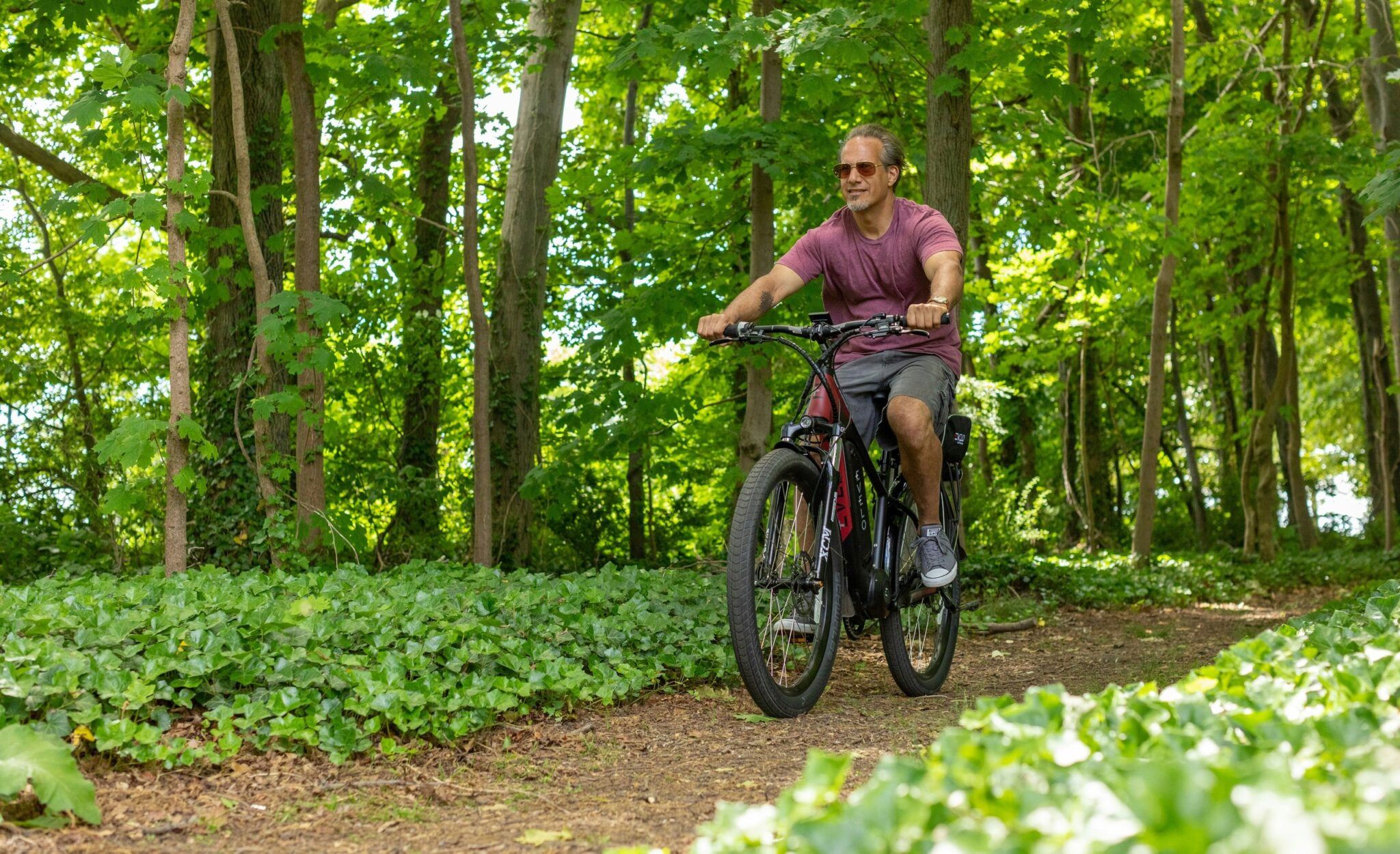 How To Build Your Own Electric Bicycle - The Survival Way
