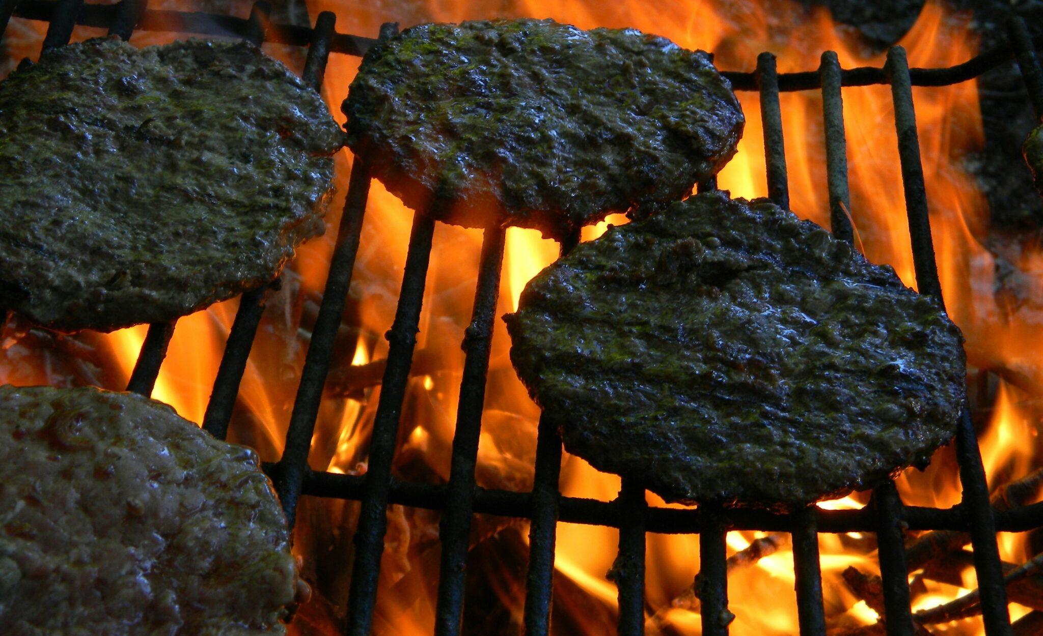 How To Cook Over An Open Fire - The Survival Way