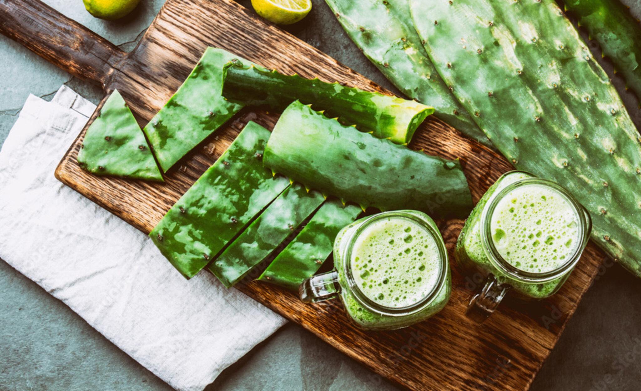 How To Make Cactus Juice - The Survival Way