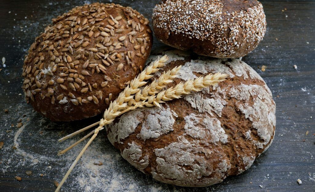 How To Make Tree Bark Bread - The Survival Way