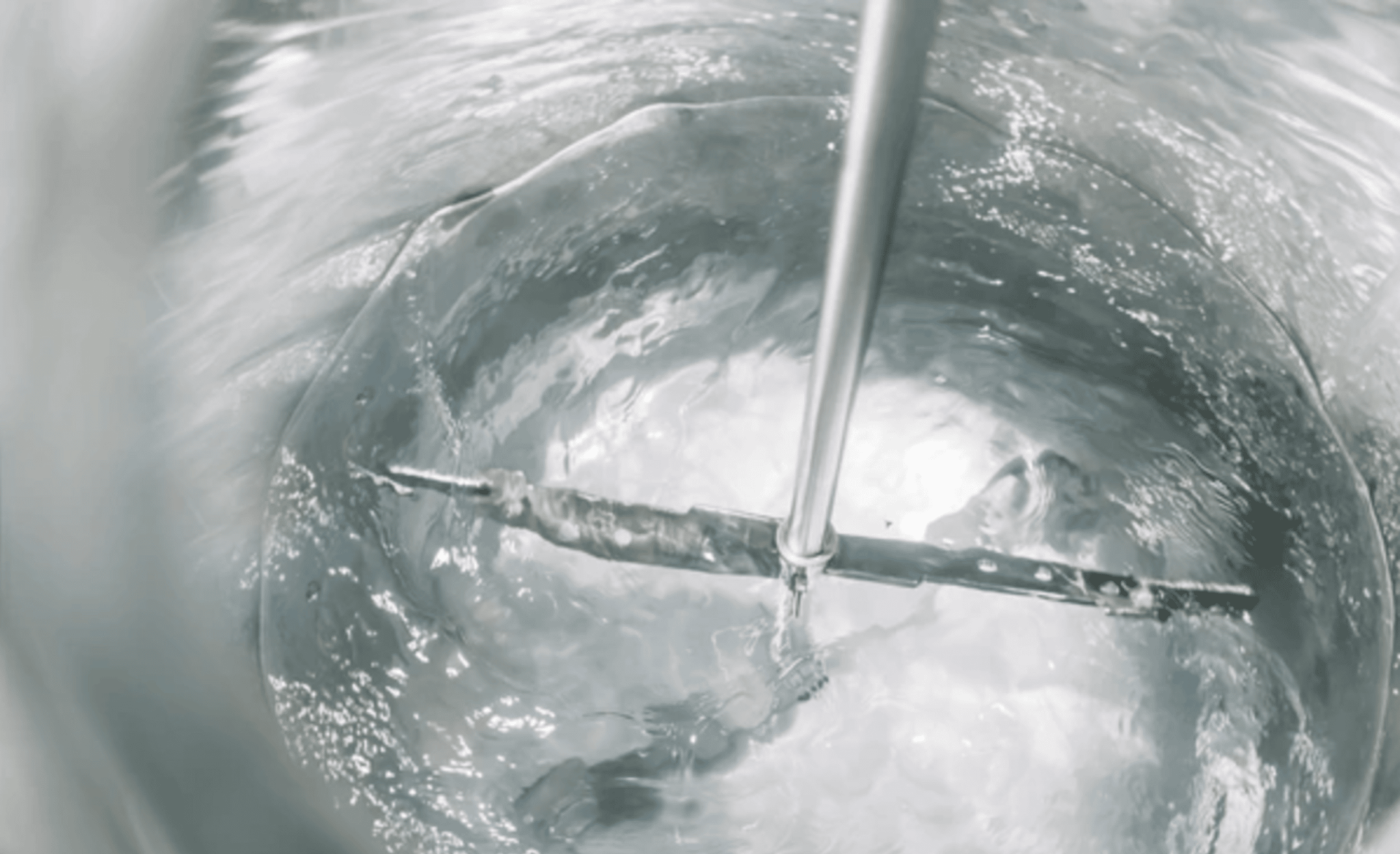 Best Water For Brewing Beer - The Survival Way