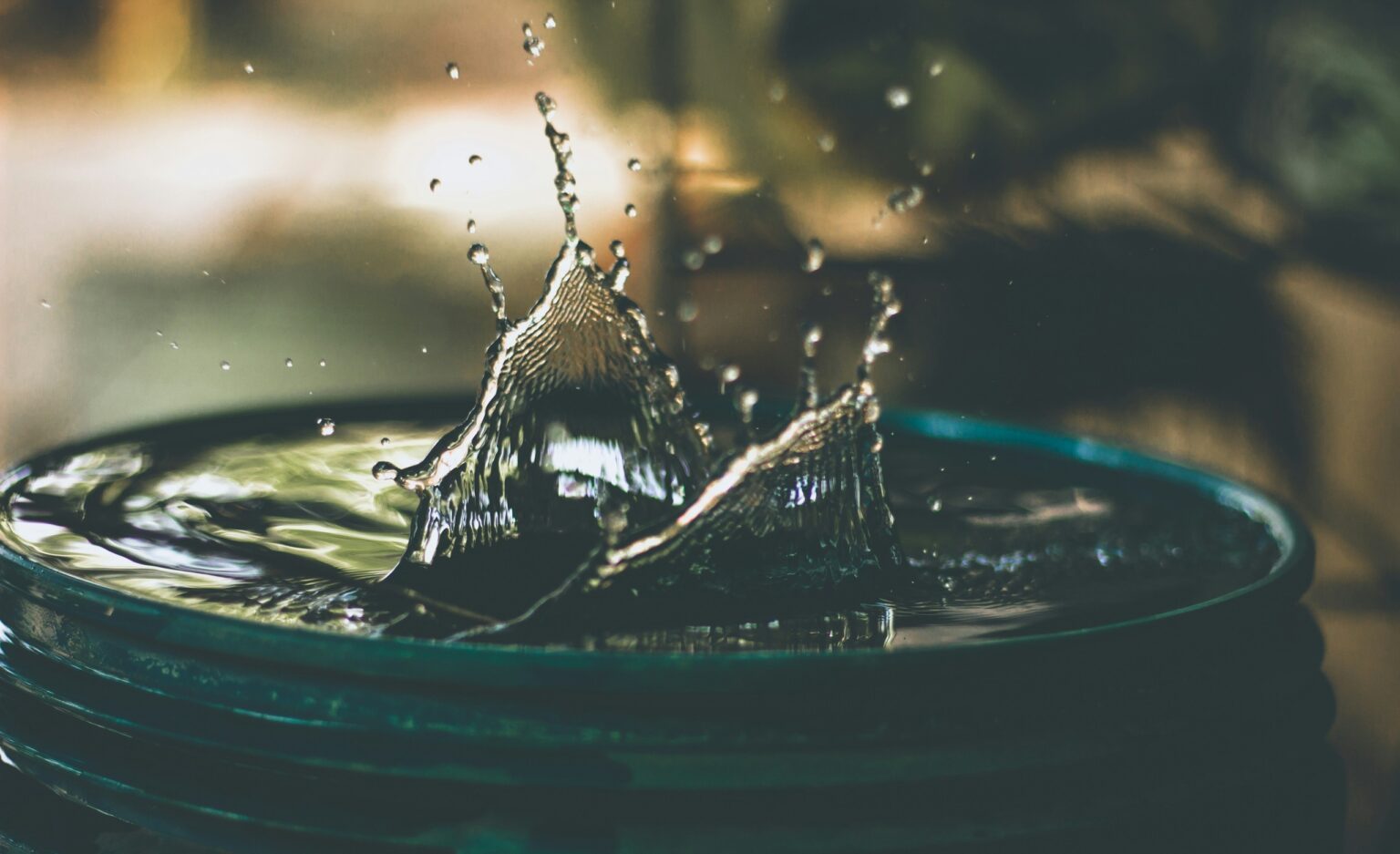 Finding Water Sources For Survival - The Survival Way