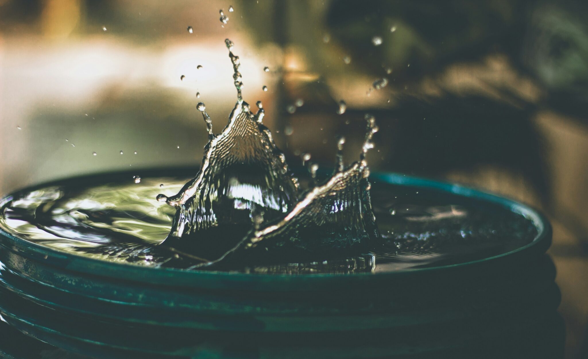 Finding Water Sources For Survival - The Survival Way